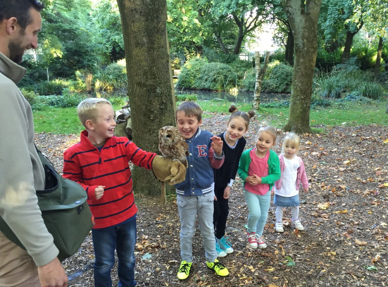 Celebrating Owl Awareness Day - Hawk Conservancy Trust - Hawk ...
