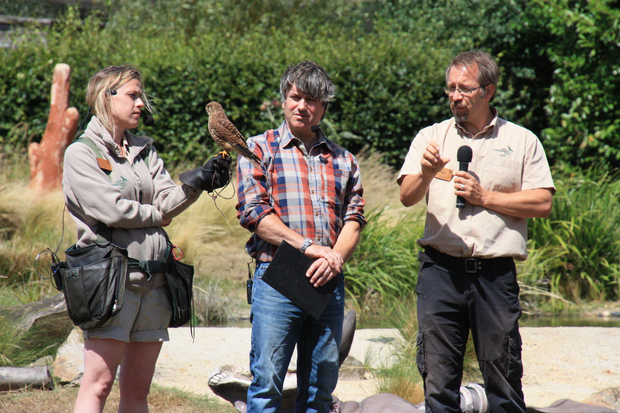 Wildlife Weekend a Great Success - Hawk Conservancy Trust - Hawk ...