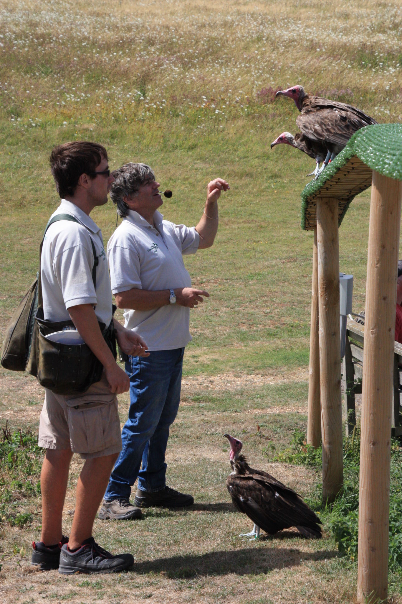 Wildlife Weekend a Great Success - Hawk Conservancy Trust - Hawk ...