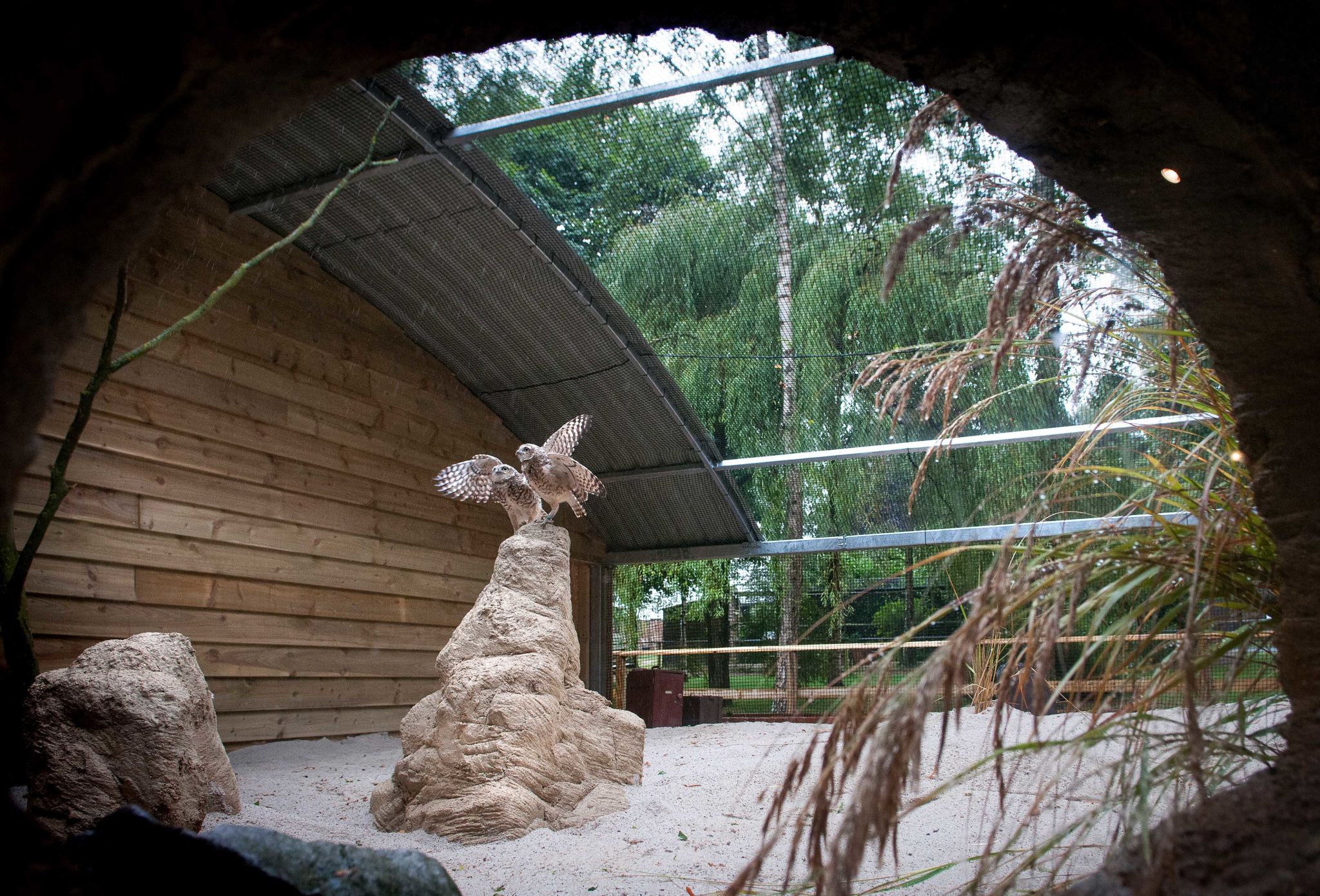 'Meet the Burrowers' officially opened by Martin Hughes-Games - Hawk ...