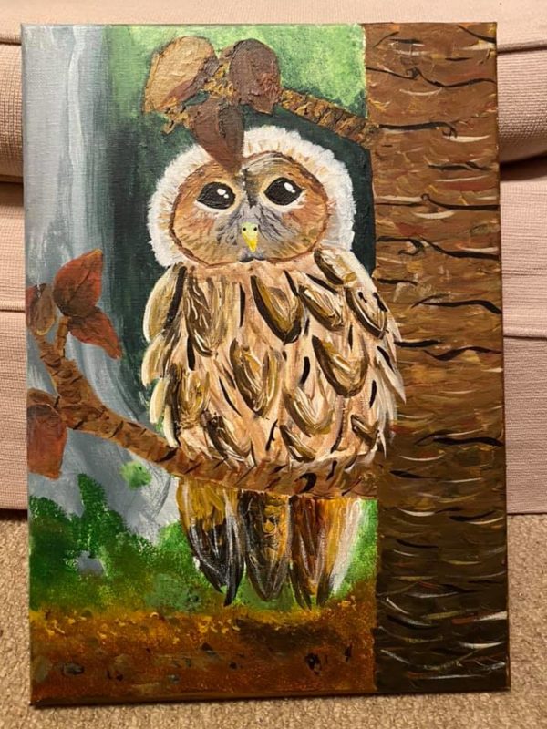 Art Competition Results - Hawk Conservancy Trust - Hawk Conservancy Trust
