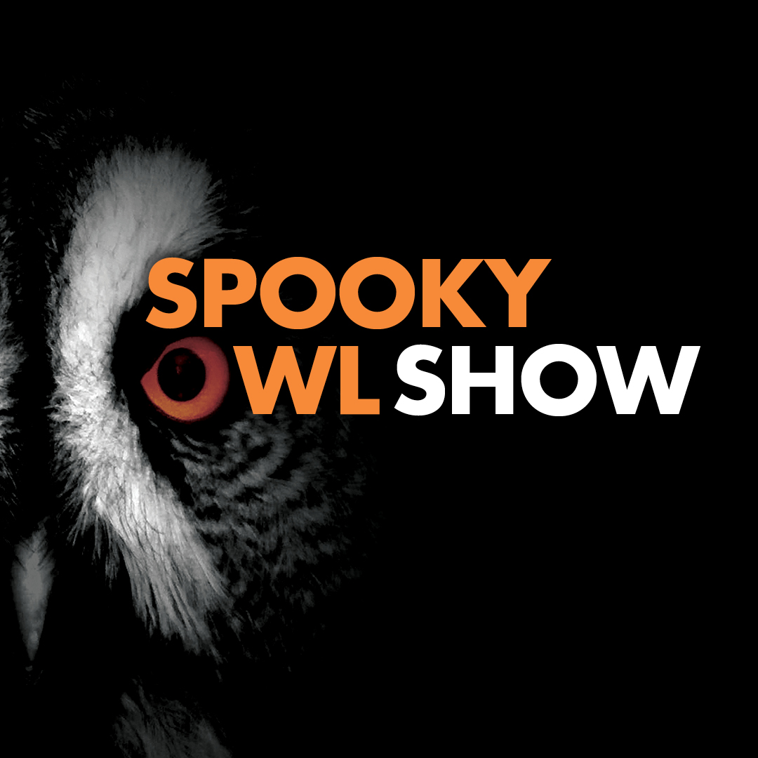 Visit the Hawk Conservancy Trust this autumn - Hawk Conservancy Trust ...