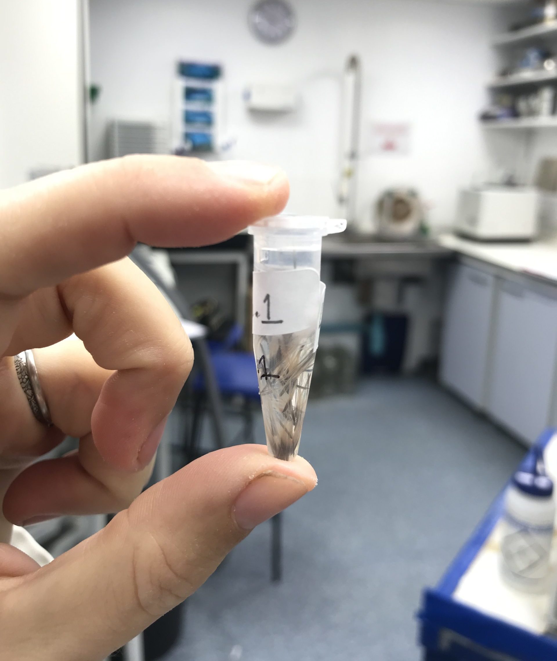 Dr Georgia Jones, Marion Paviour Award winner, shares research updates ...