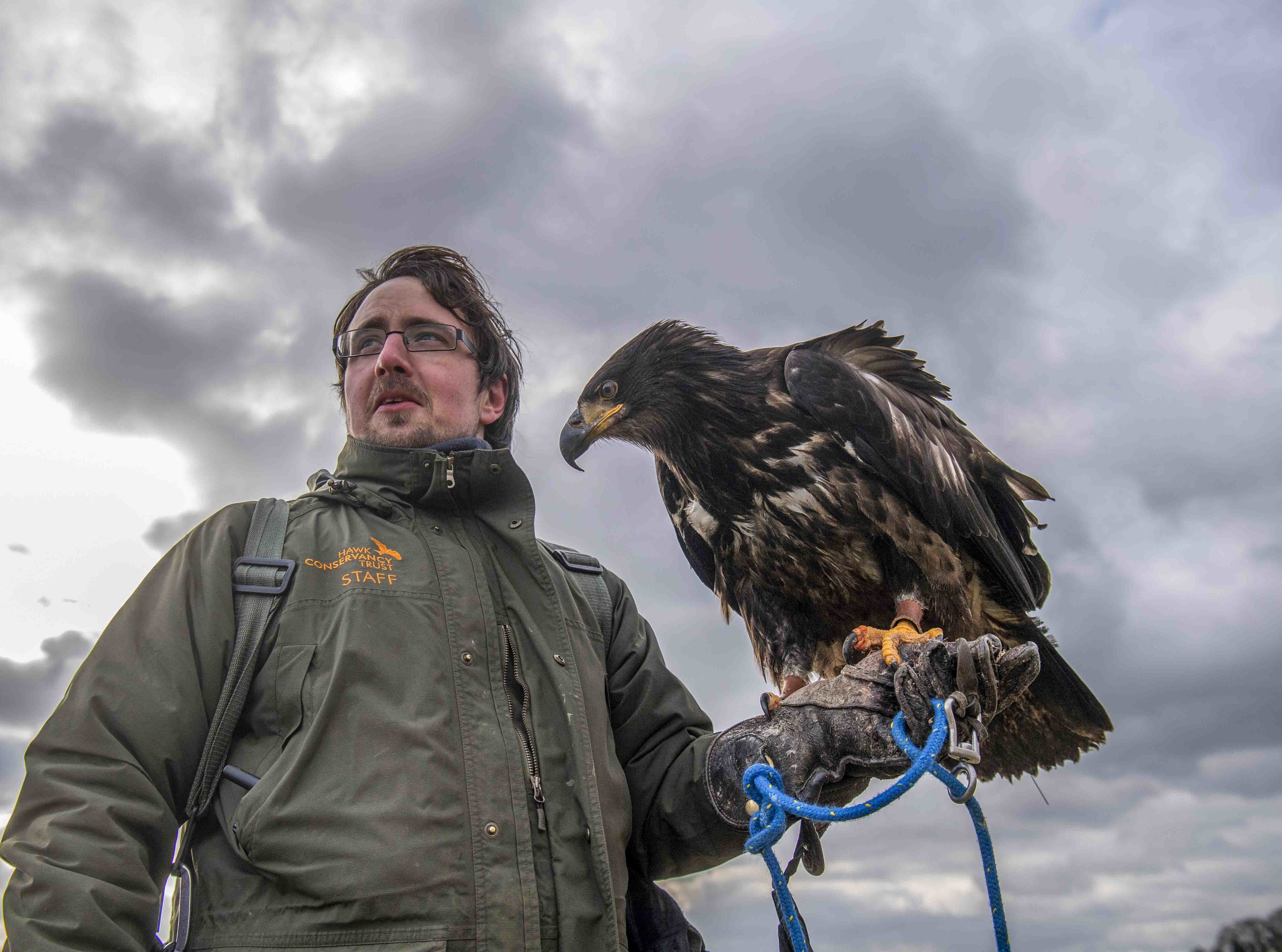 Working with Wallace - Hawk Conservancy Trust - Hawk Conservancy Trust