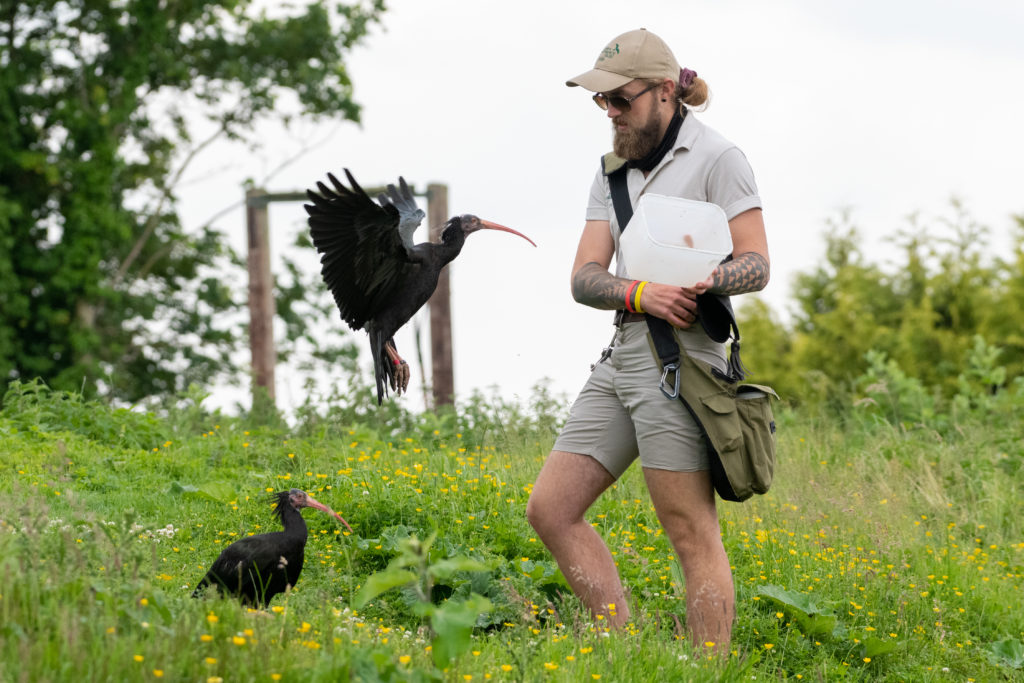 Living and breathing the Hawk Conservancy Trust - Hawk Conservancy ...