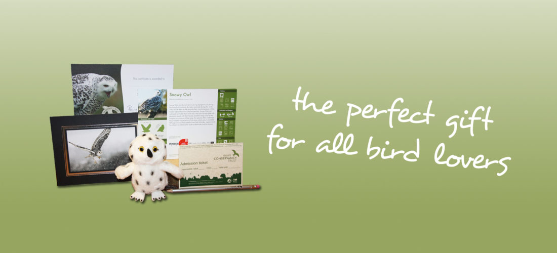 Adopt an owl, adopt a bird of prey, owl adoption gifts - Hawk ...