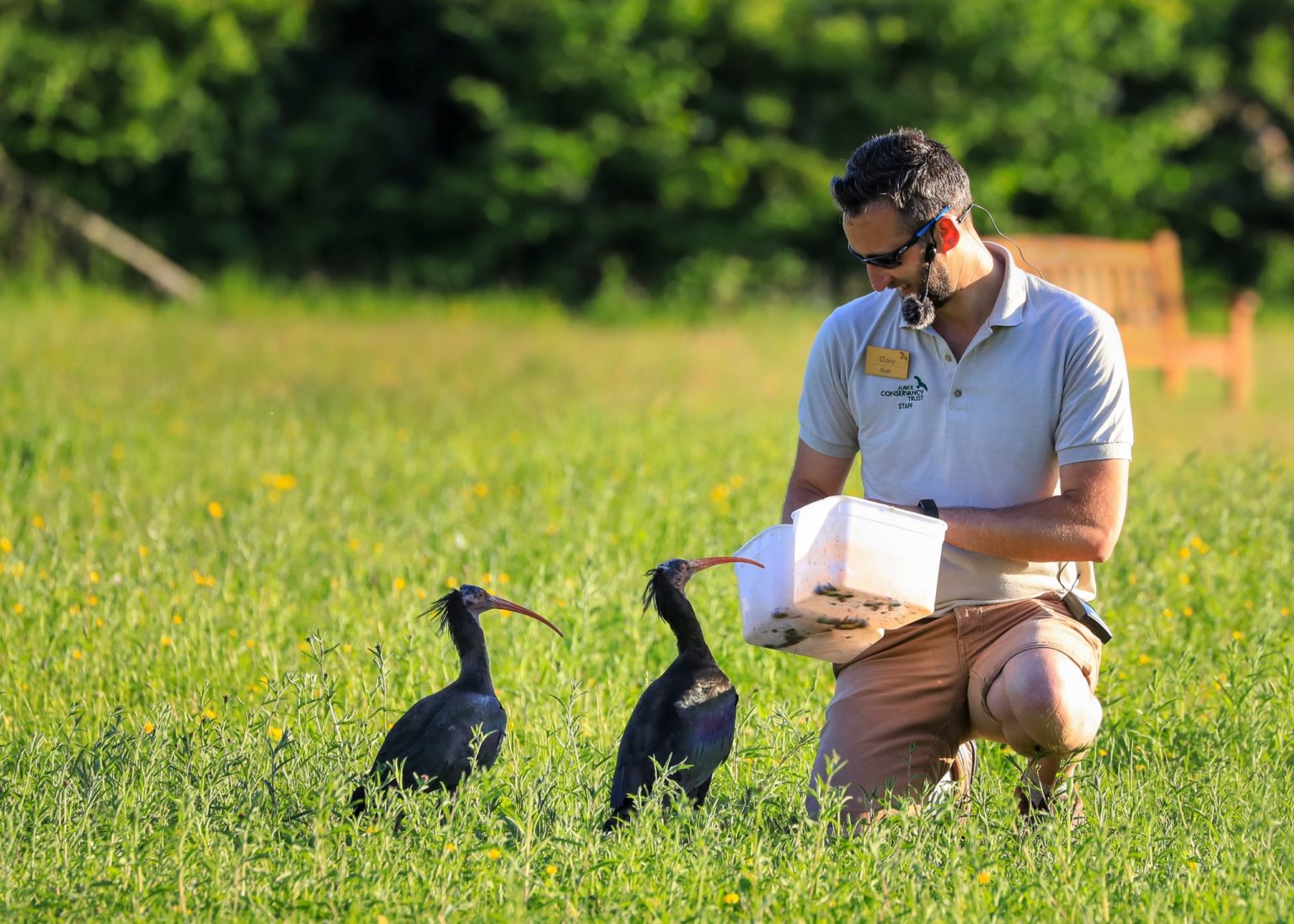 Reflecting on 2021 - Hawk Conservancy Trust - Hawk Conservancy Trust