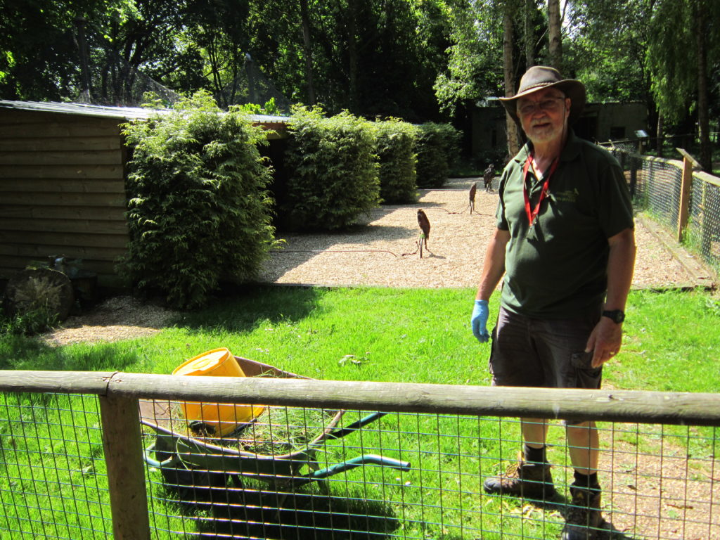 Thank you amazing volunteers! - Hawk Conservancy Trust - Hawk ...