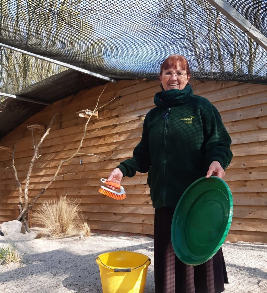 Thank you amazing volunteers! - Hawk Conservancy Trust - Hawk ...
