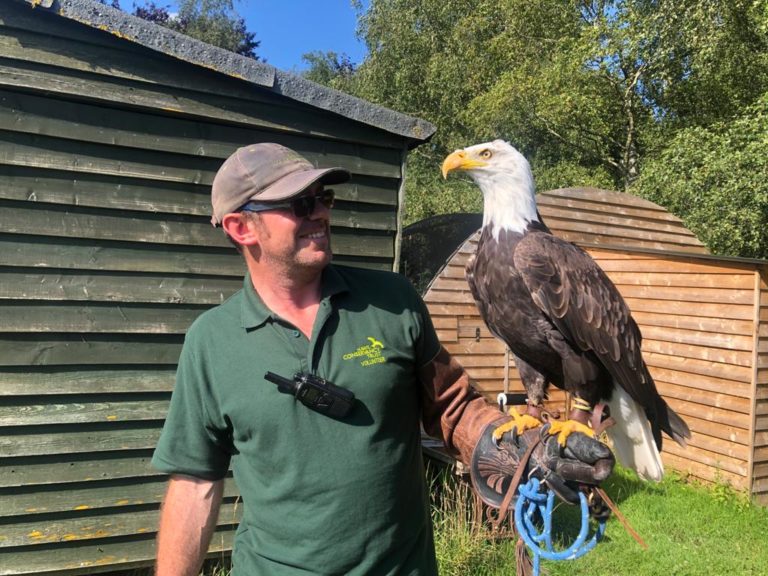 Thank you amazing volunteers! - Hawk Conservancy Trust - Hawk ...