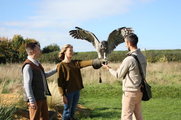 Celebrating Owl Awareness Day - Hawk Conservancy Trust - Hawk ...