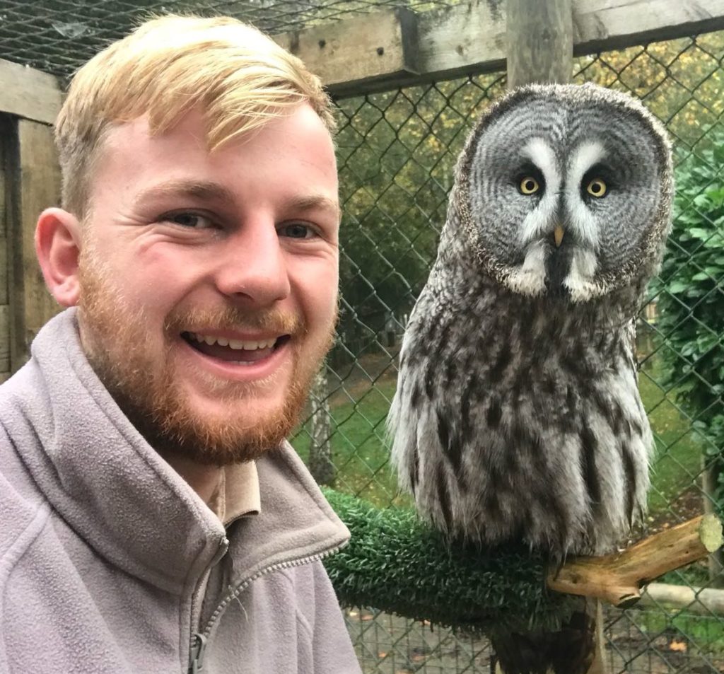 Behind the scenes on a Winter Experience with Ben - Hawk Conservancy ...
