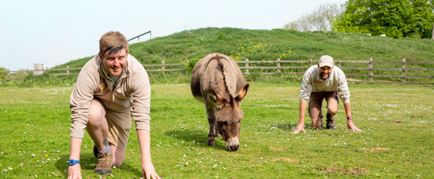 Wildlife day out in Hampshire, birds of prey conservation at the Hawk ...
