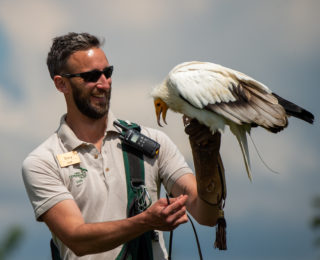 Book your tickets to visit - Hawk Conservancy Trust - Hawk Conservancy ...