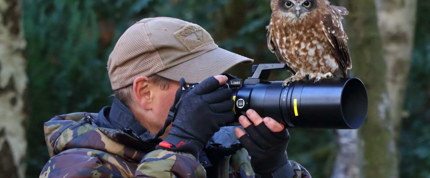 Wildlife day out in Hampshire, birds of prey conservation at the Hawk ...