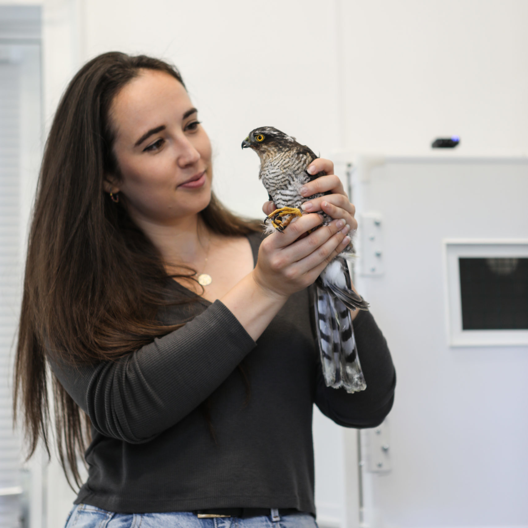 National Bird of Prey Hospital™ Annexe opened by wildlife presenter ...