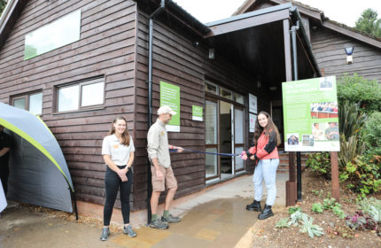 Wildlife day out in Hampshire, birds of prey conservation at the Hawk ...