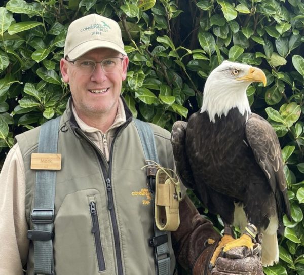 Bald is beautiful! - Hawk Conservancy Trust - Hawk Conservancy Trust