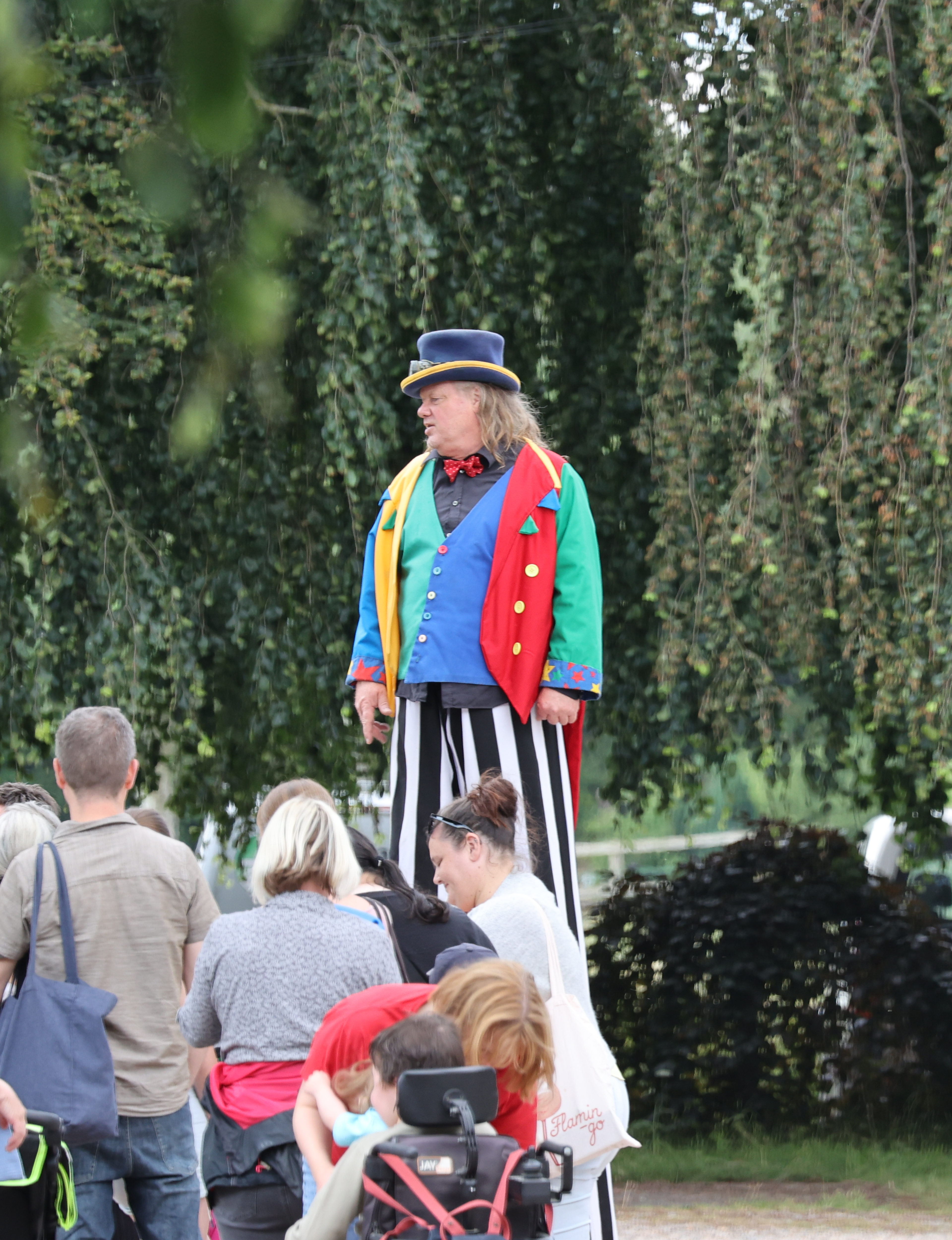 Children facing difficulties given ‘DreamNight’ at the Hawk Conservancy ...