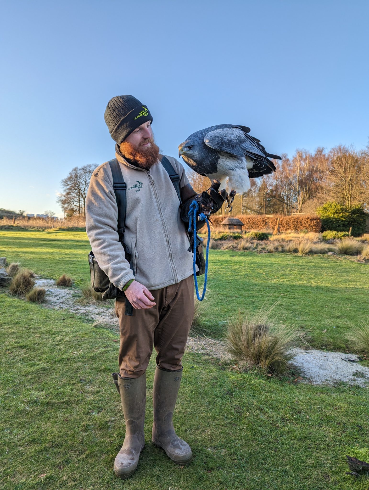 Ben and Azura - Hawk Conservancy Trust - Hawk Conservancy Trust