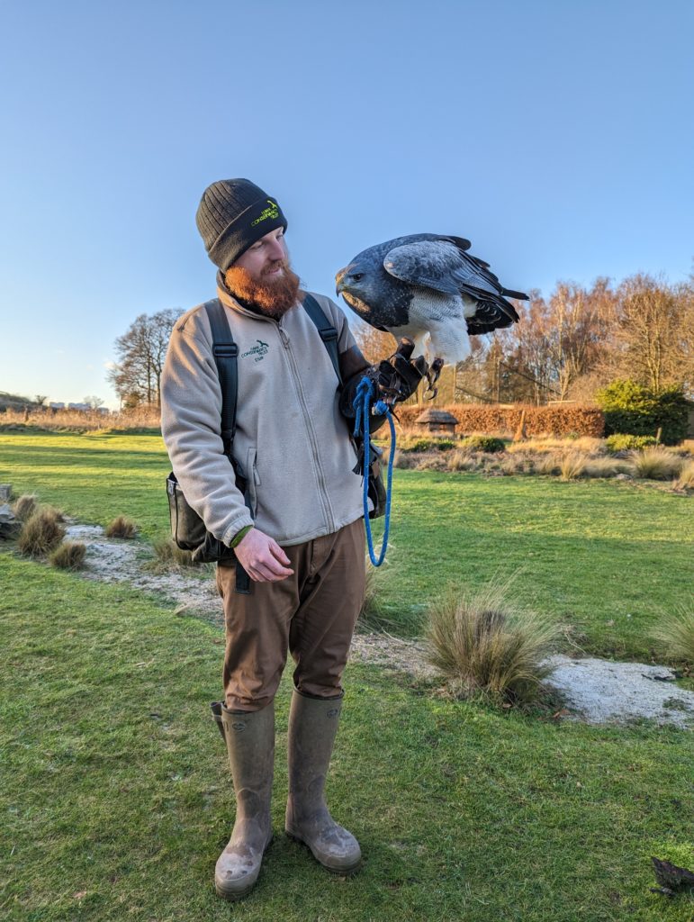 Ben and Azura - Hawk Conservancy Trust - Hawk Conservancy Trust