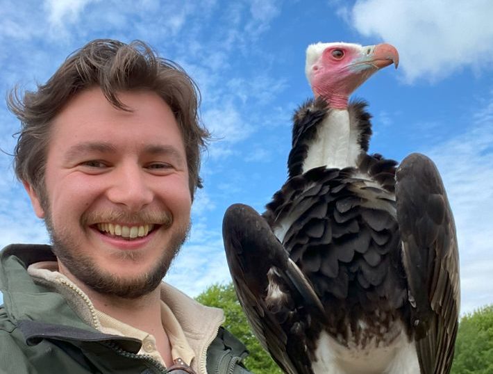 The makings of Masters of the Sky - Hawk Conservancy Trust - Hawk ...