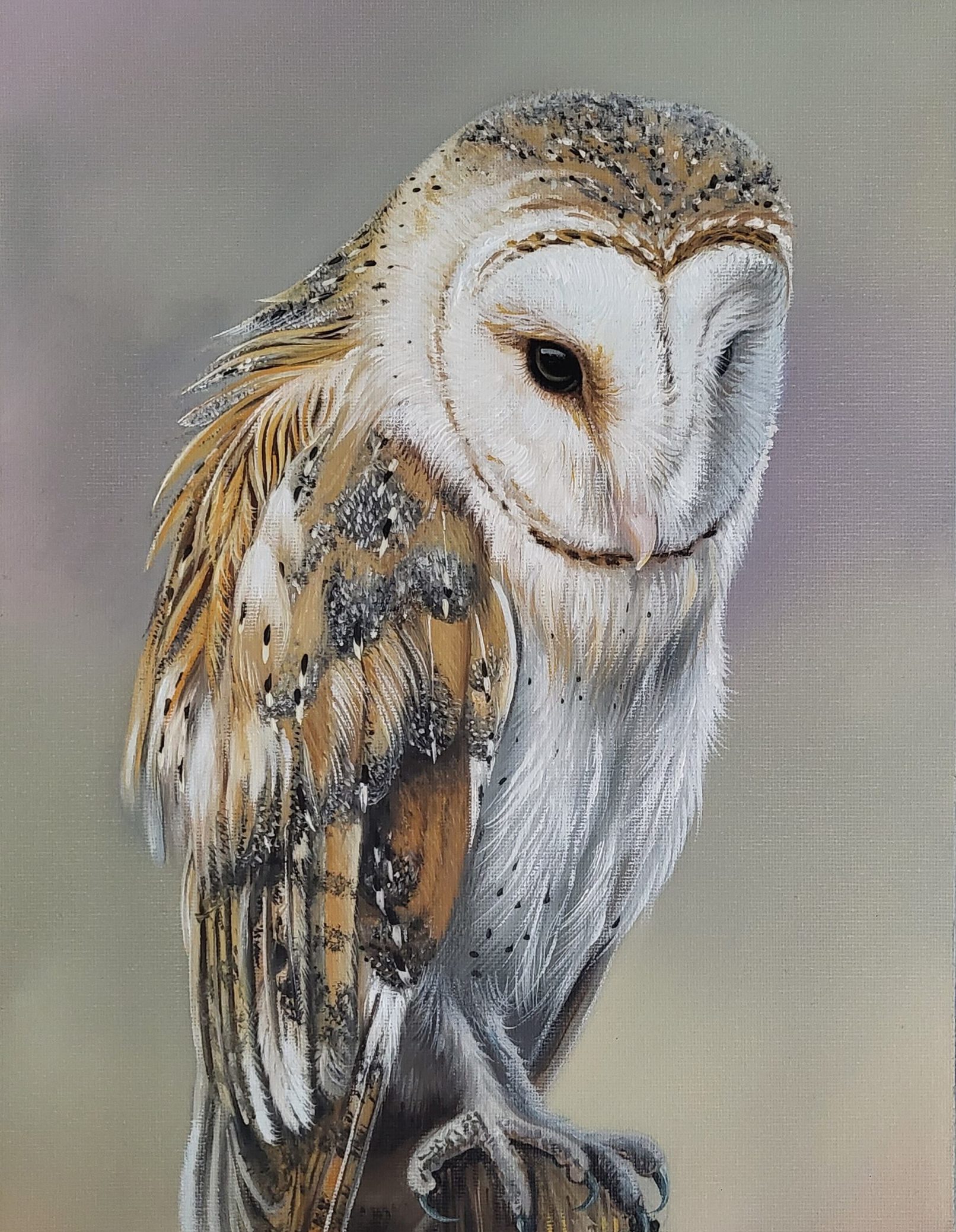 Meet our Artist in Residence! - Hawk Conservancy Trust - Hawk ...