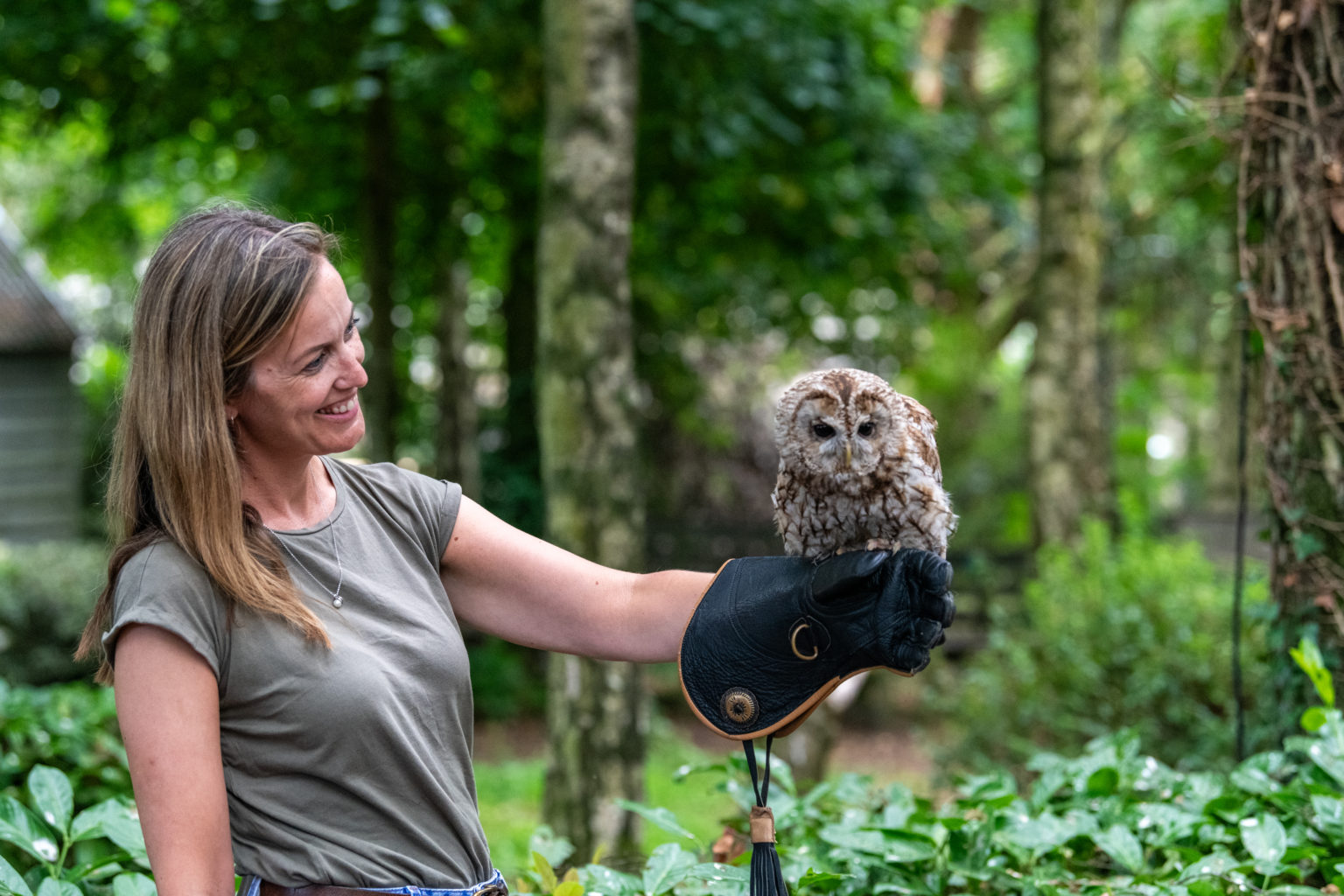 Owl Awareness Day 2024 - Hawk Conservancy Trust - Hawk Conservancy Trust