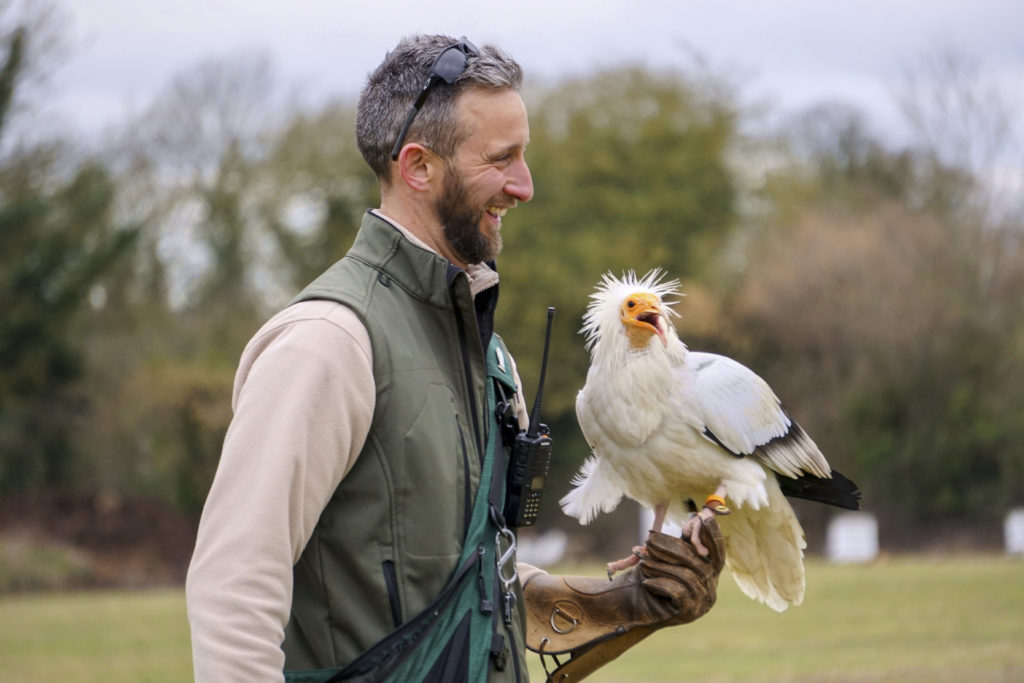 WIN a day with the Bird Team! - Hawk Conservancy Trust - Hawk ...