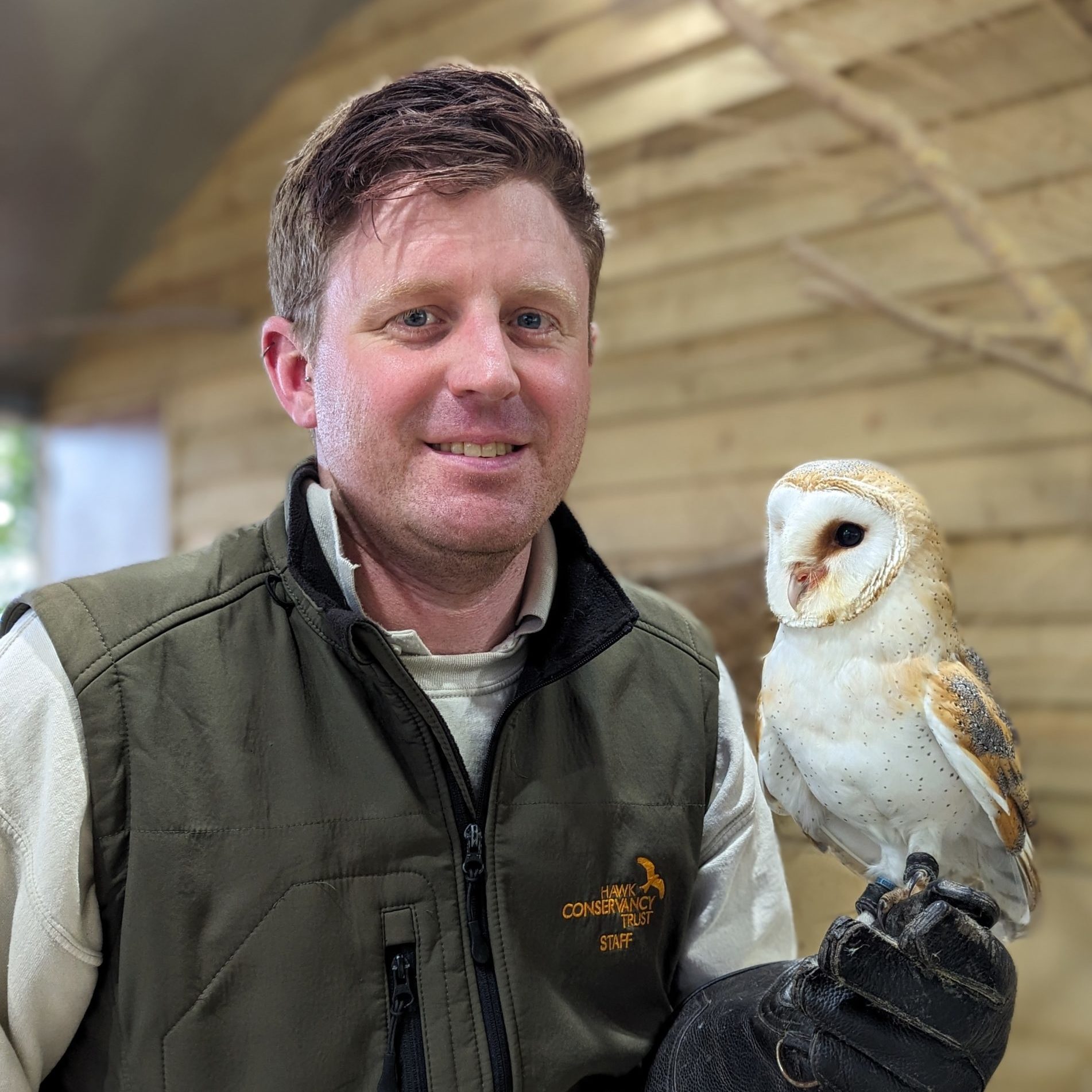 Helping Willow find her wings - Hawk Conservancy Trust - Hawk ...