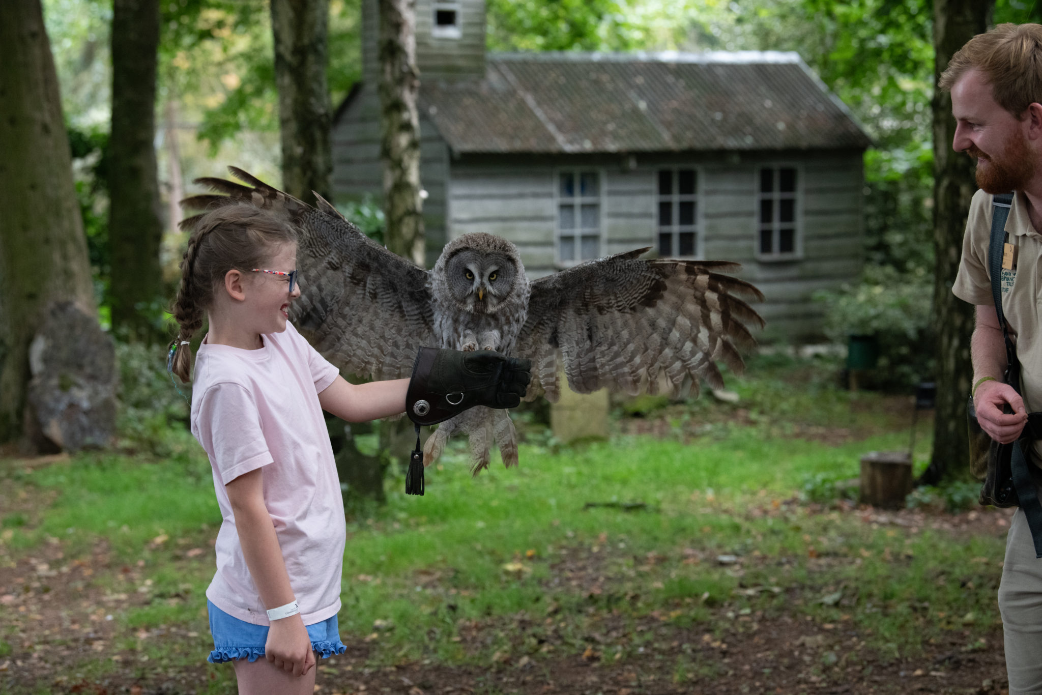 Owl Awareness Day 2024 - Hawk Conservancy Trust - Hawk Conservancy Trust