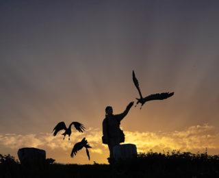 Things to do Hampshire - bird of prey flying displays and experiences ...