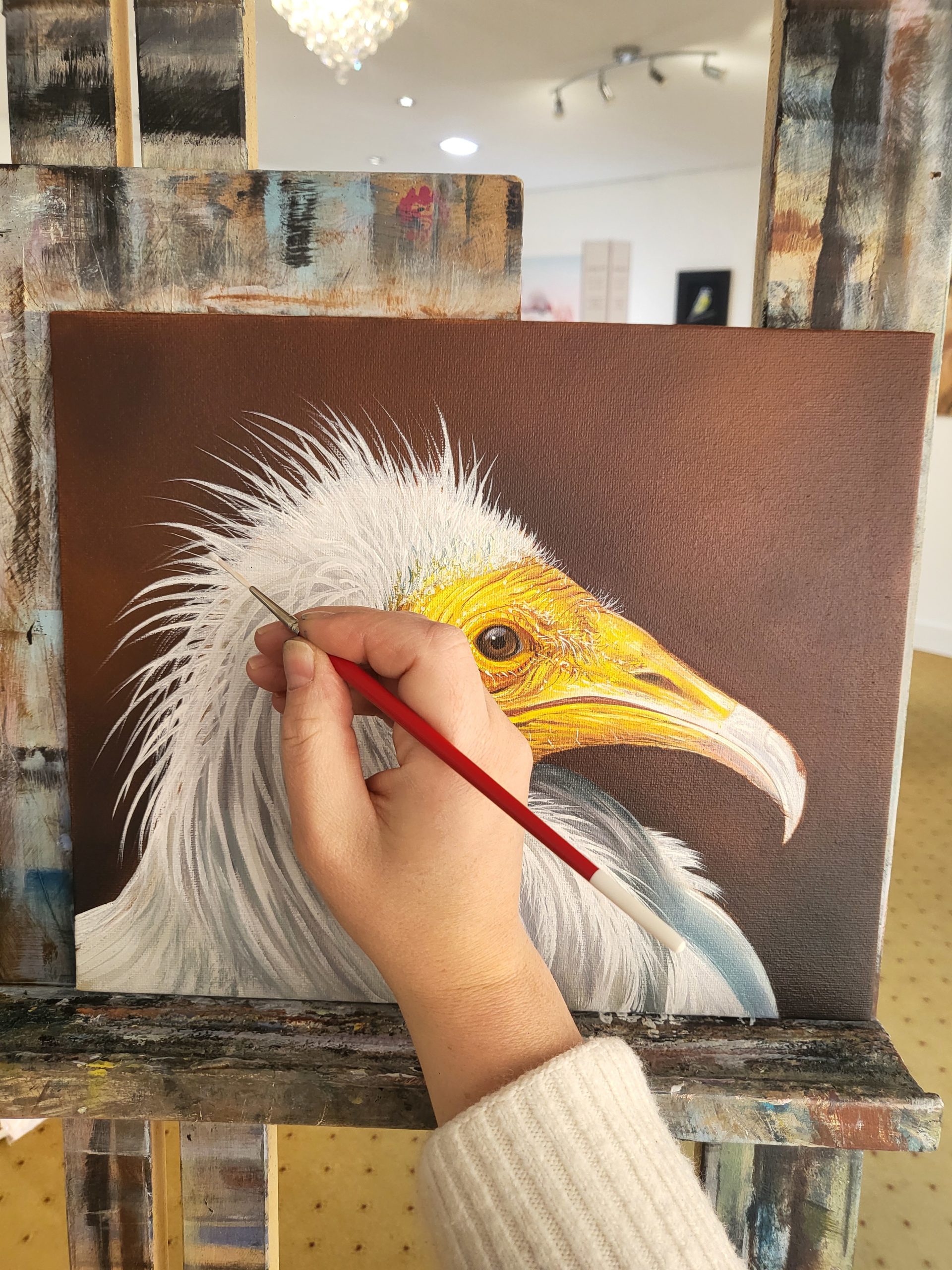 Win a one-off portrait from Alex McGarry! - Hawk Conservancy Trust ...