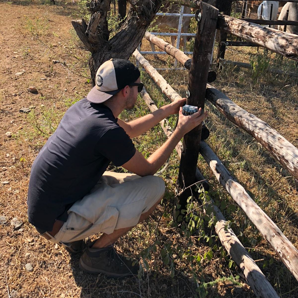 Meet our conservation newbie - Hawk Conservancy Trust - Hawk ...