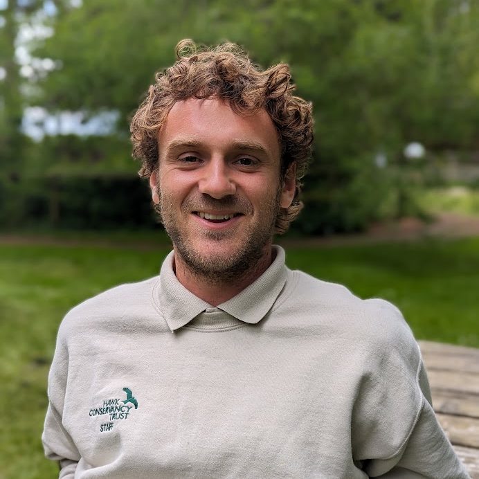 Meet our conservation newbies - Hawk Conservancy Trust - Hawk ...