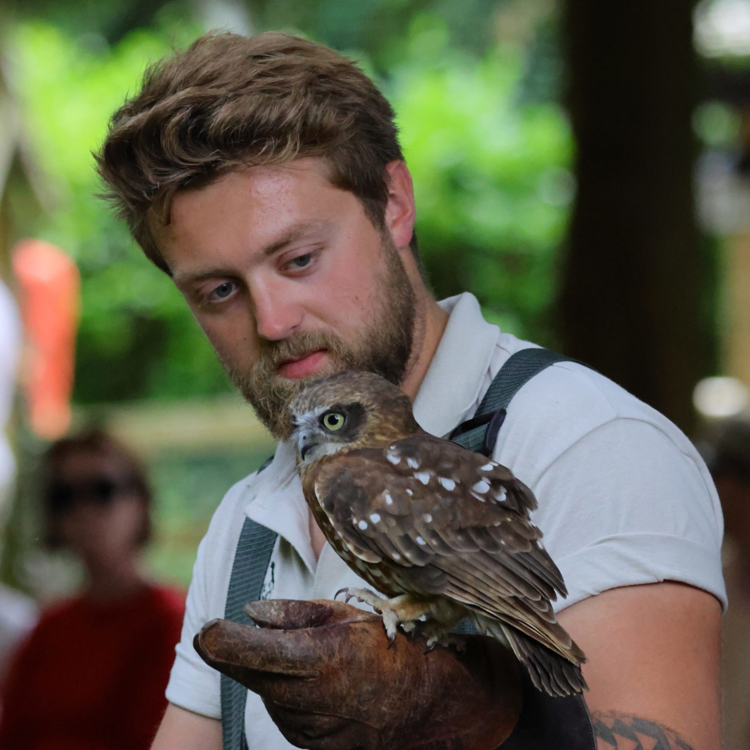 Owl Awareness Day 2024 - Hawk Conservancy Trust - Hawk Conservancy Trust