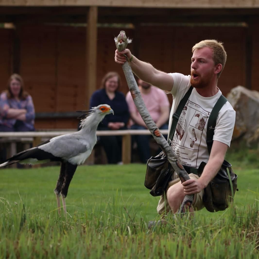 Behind the camera with Ben - Hawk Conservancy Trust - Hawk Conservancy ...
