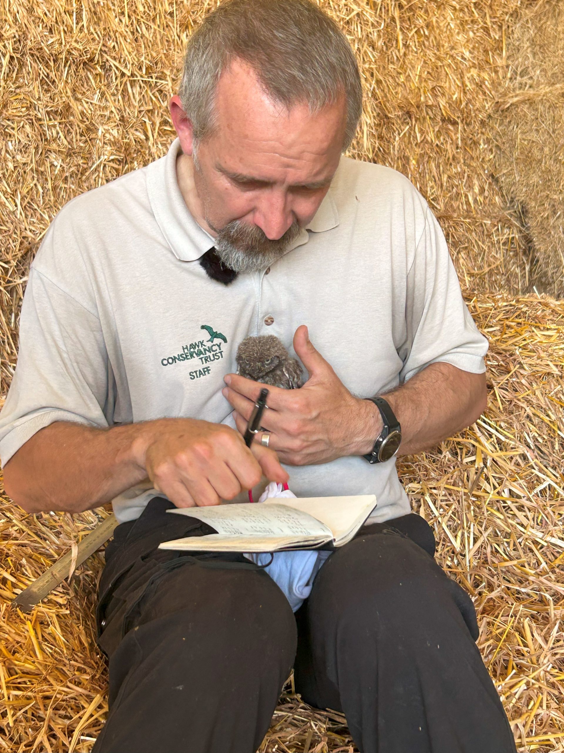 Owl Awareness Day 2024 - Hawk Conservancy Trust - Hawk Conservancy Trust