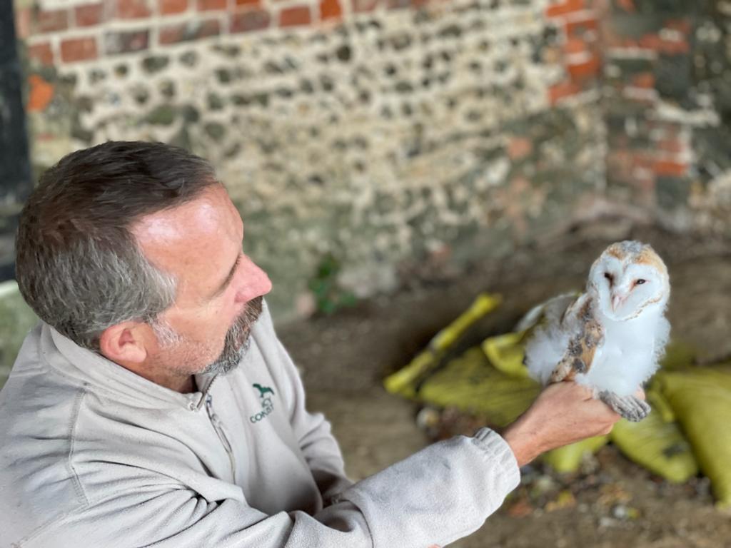 Life’s a hoot for new recruits - Hawk Conservancy Trust - Hawk ...