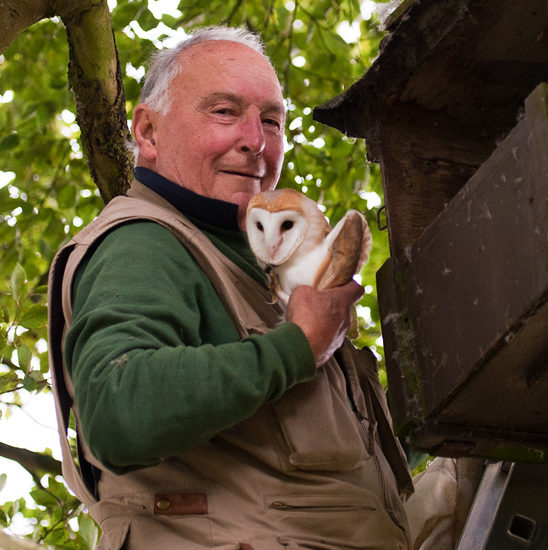 A tribute to Nigel Lewis - Hawk Conservancy Trust - Hawk Conservancy Trust