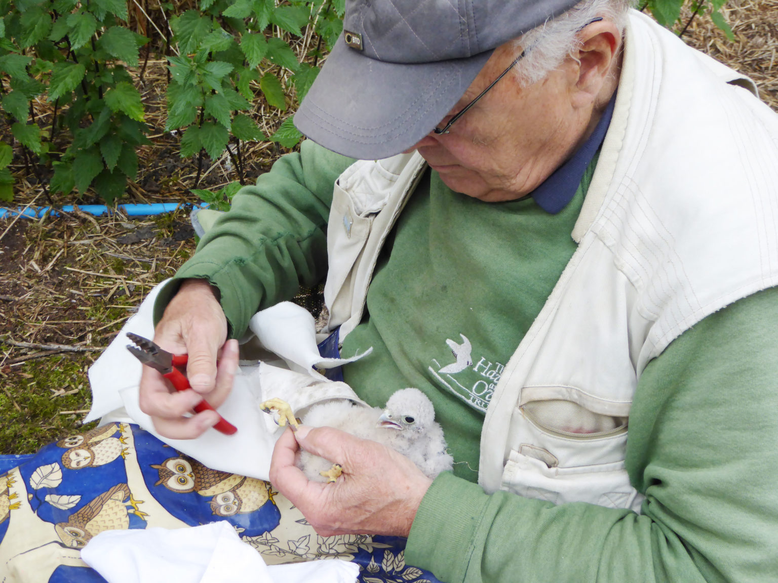 A tribute to Nigel Lewis - Hawk Conservancy Trust - Hawk Conservancy Trust