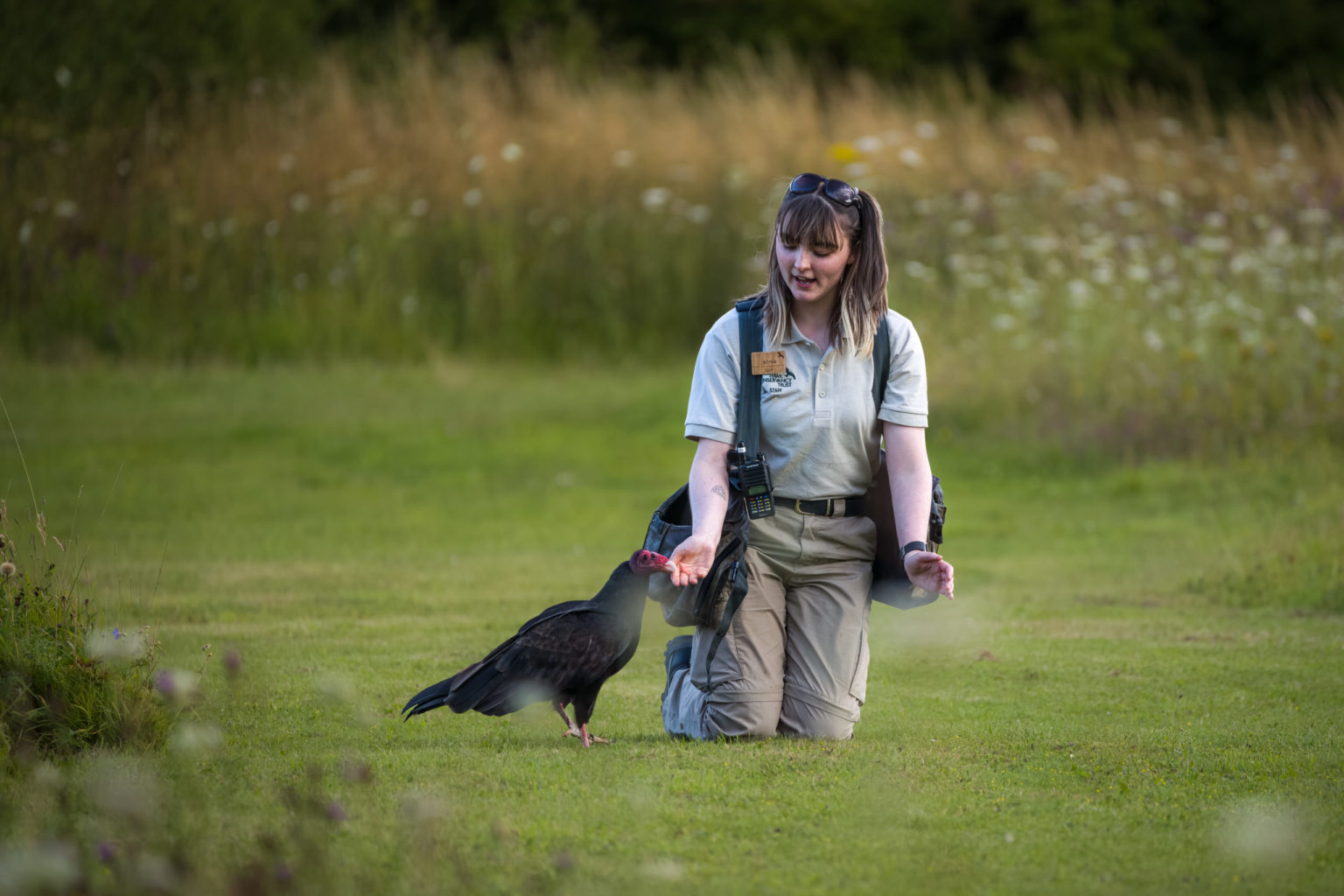 Jennie is flying high! - Hawk Conservancy Trust - Hawk Conservancy Trust