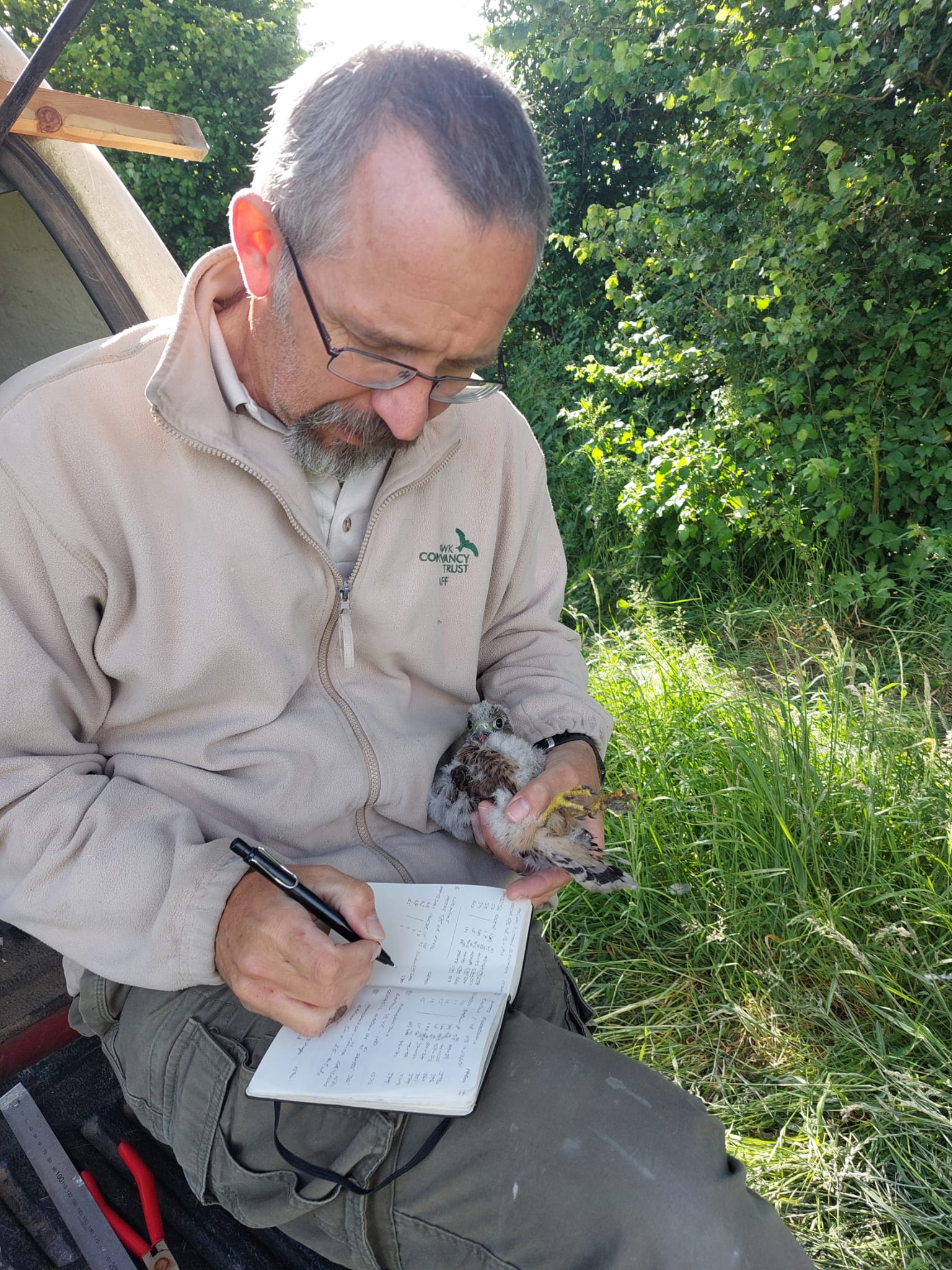 Our 2024 Conservation Wrapped - Hawk Conservancy Trust - Hawk ...