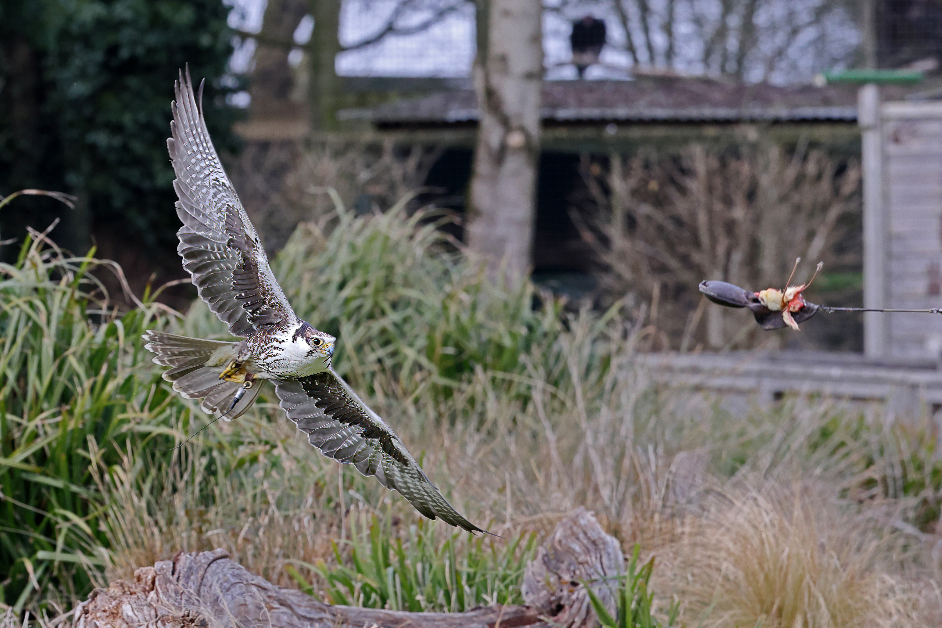 Photo Competition Entries