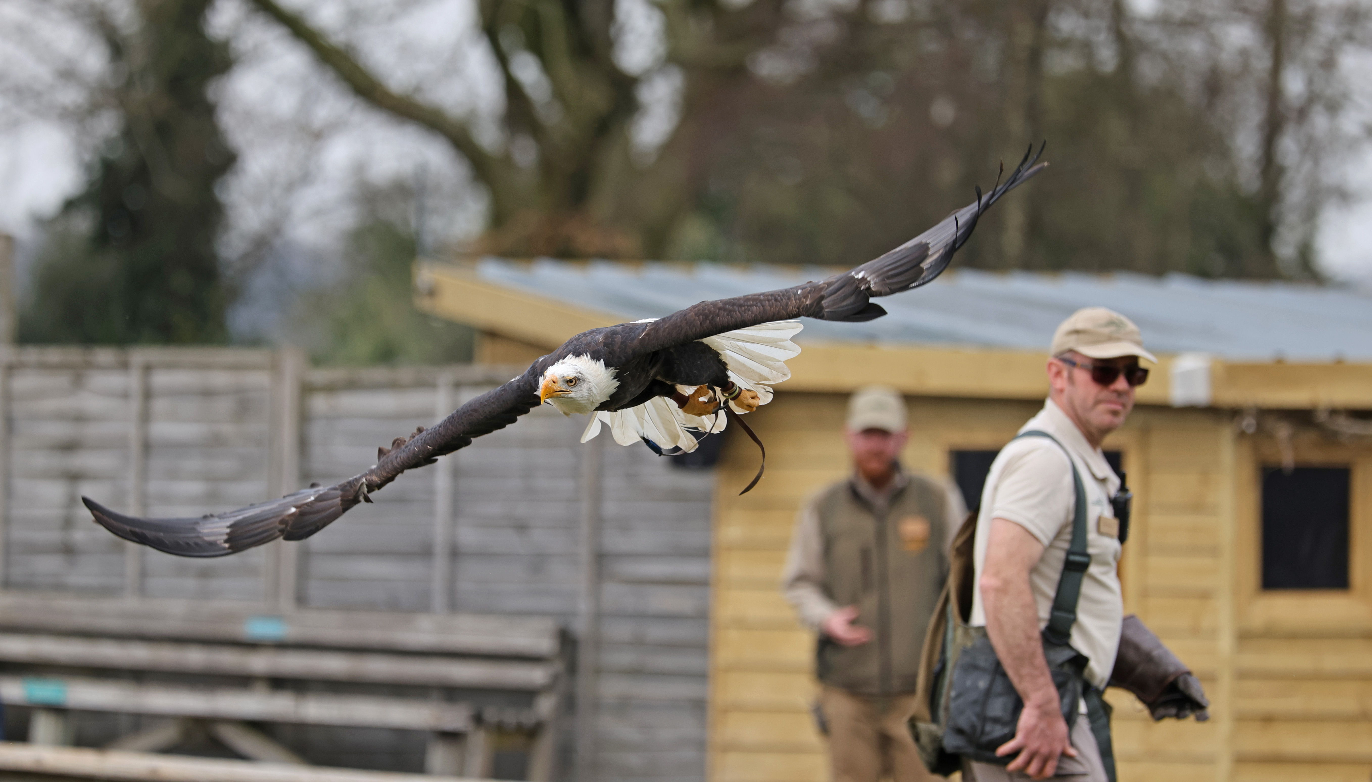 Photo Competition Entries