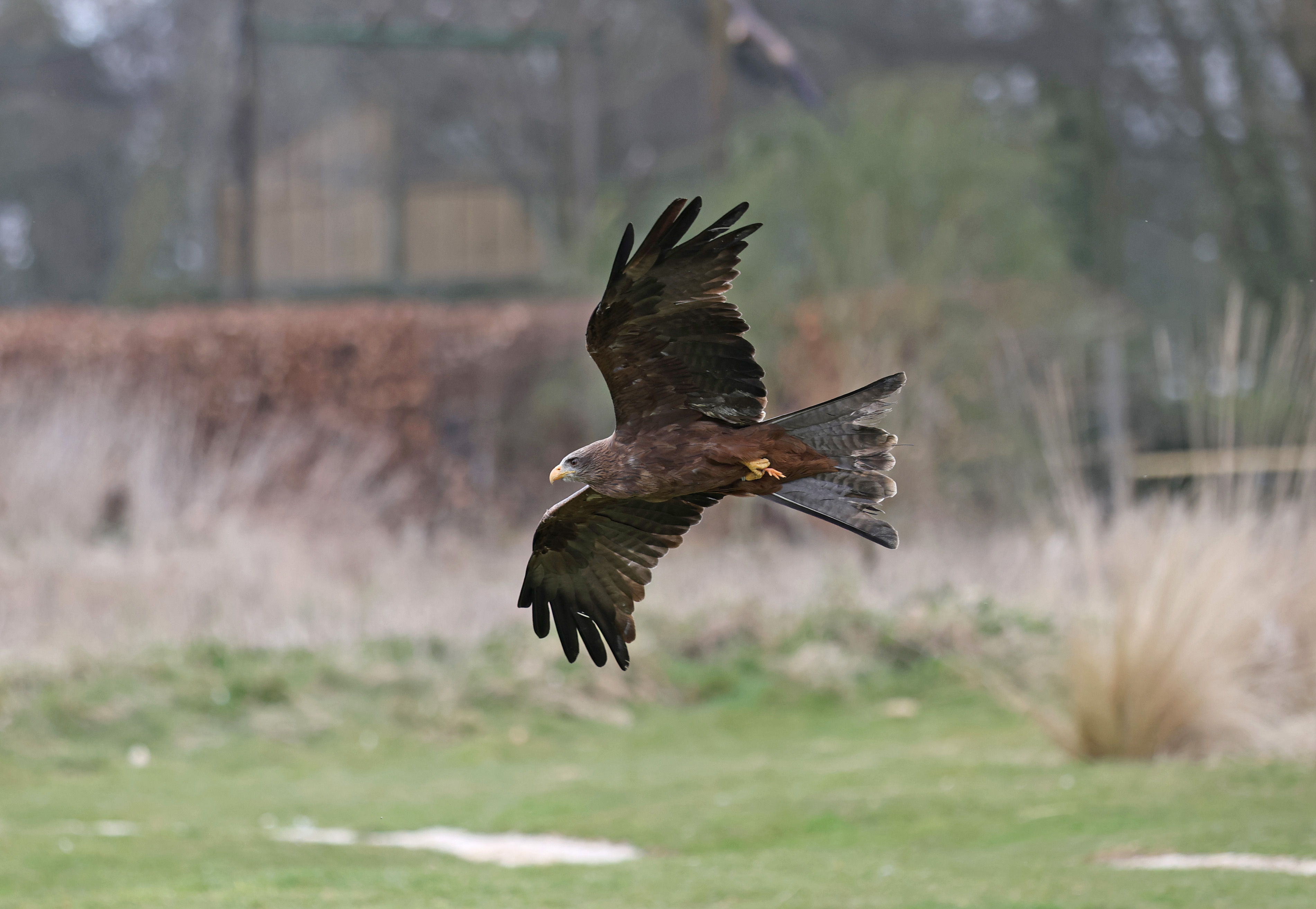 Photo Competition Entries