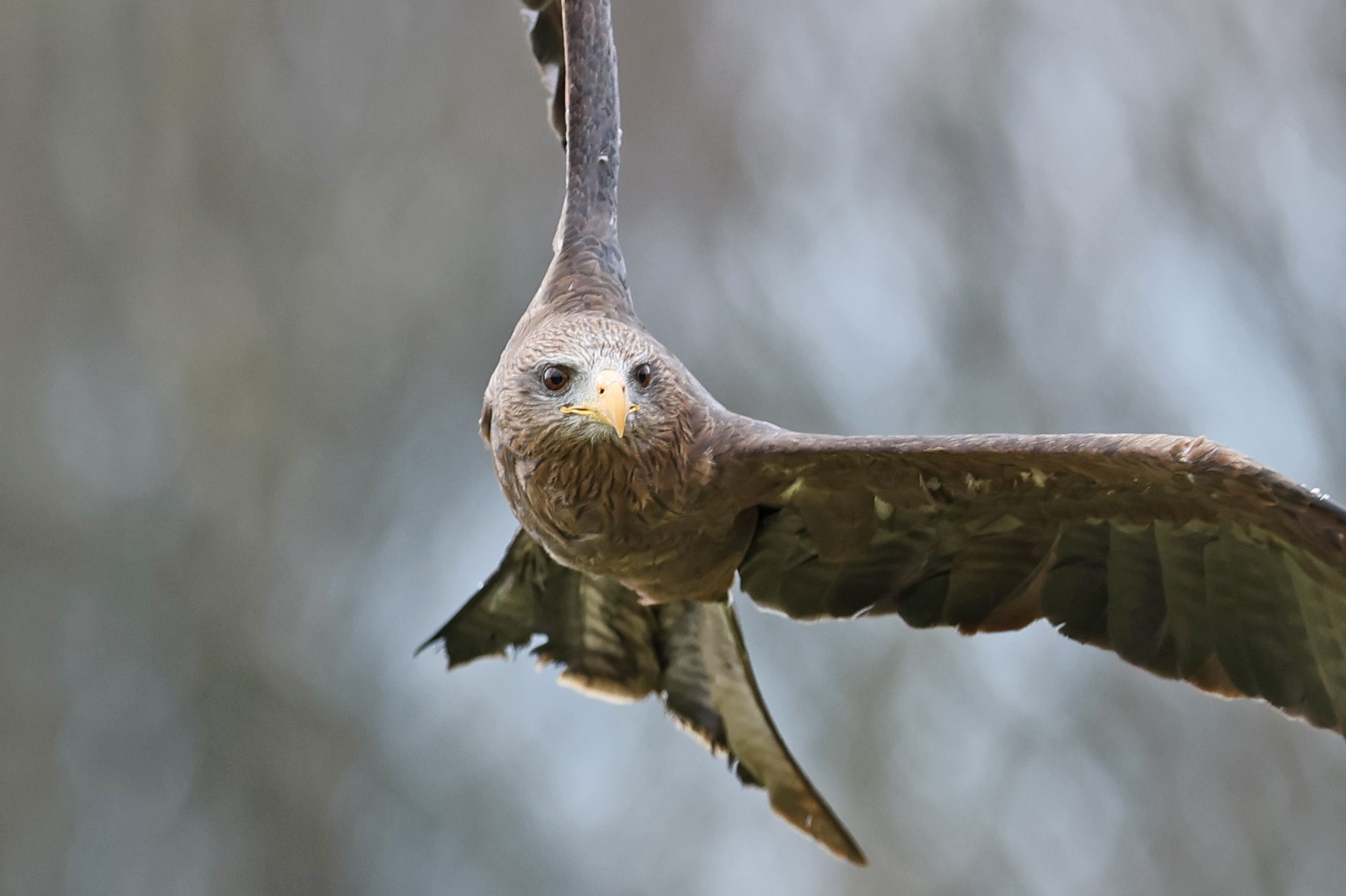 Photo Competition Entries