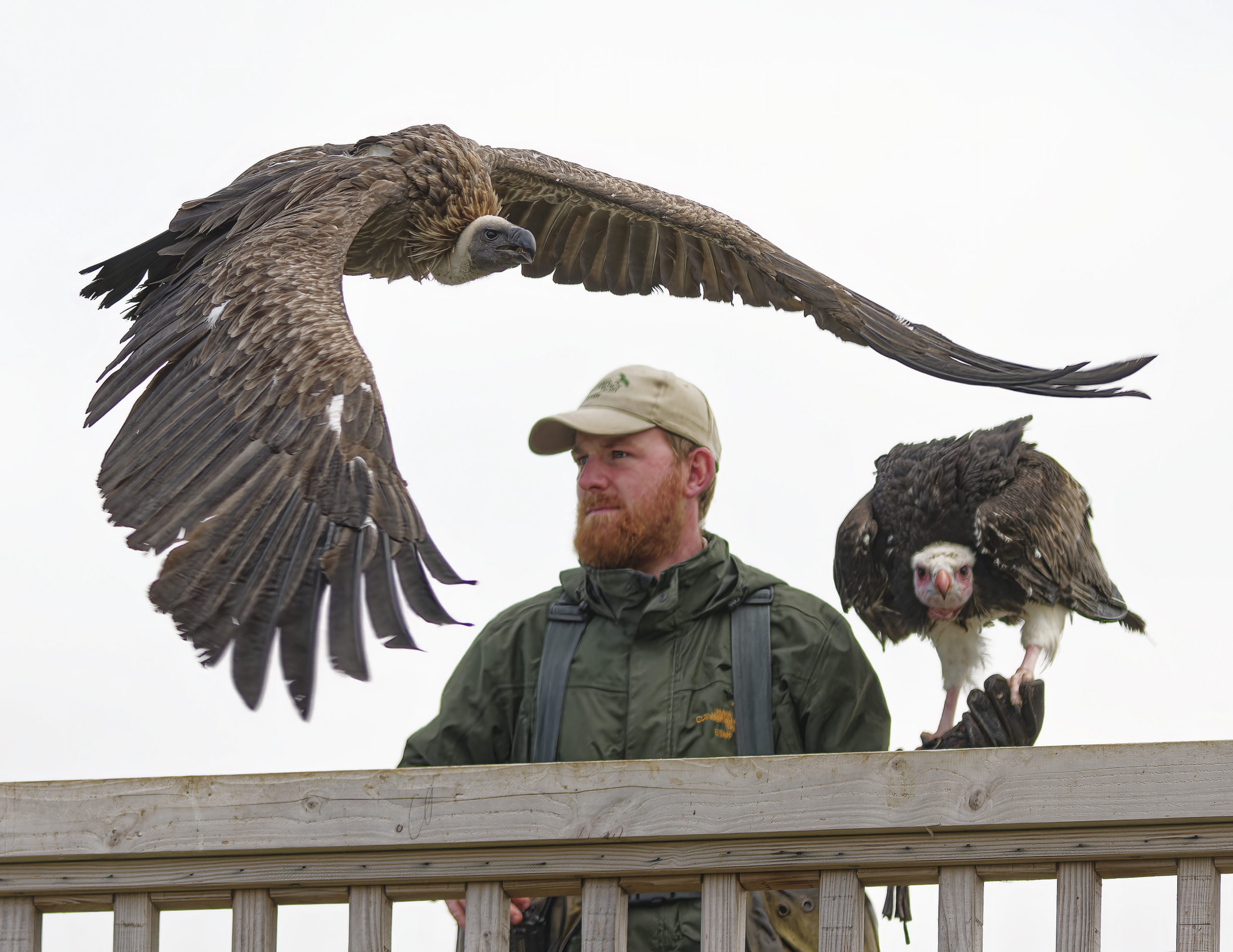 Ben says farewell - Hawk Conservancy Trust - Hawk Conservancy Trust