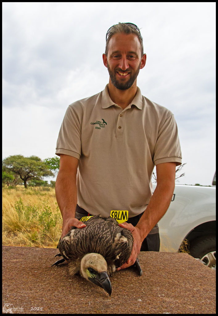 In the field with Gary - Hawk Conservancy Trust - Hawk Conservancy Trust